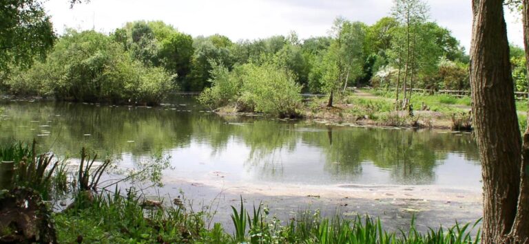 Exploring the Stunning Filming Locations of Jurassic Park: Where Was It ...